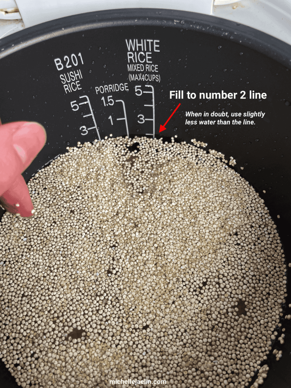 Best Quinoa Rice Recipe (Video) - Michelle Jaelin